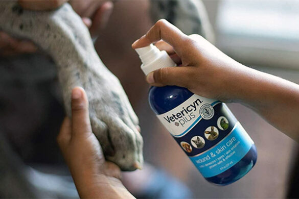 Los 5 antiparasitarios para perros. Cuál usar en cada caso.